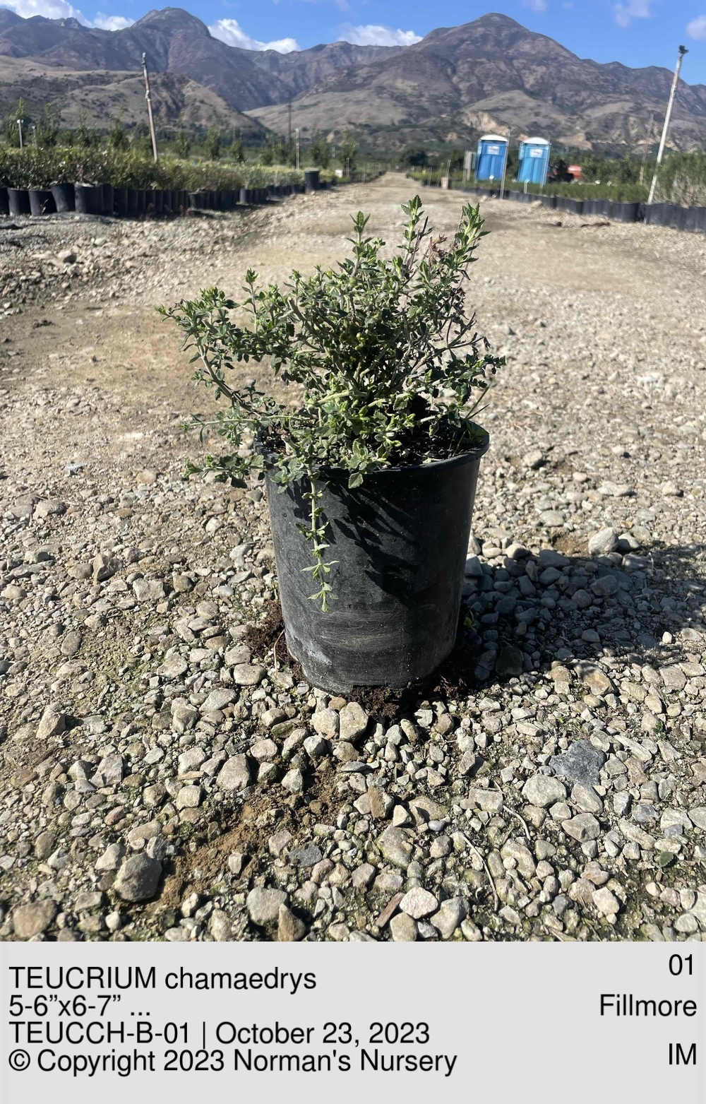 YH1cWK9HwLu6MnqXxe81